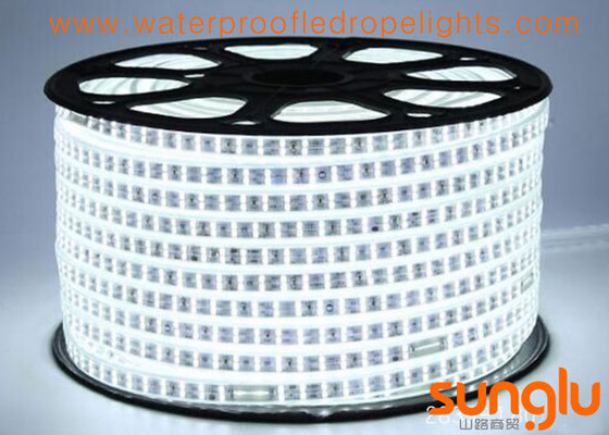 Cool White Waterproof LED Rope Lights Double Lines AC220V For Shopping Mall