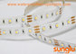 3528 300 LEDS / 5M Dimmable LED Strip Lights 12v 2 In 1 For Meeting Room
