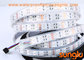 Double Rows RGB 5050 Dimmable LED Rope Light DC 12V Silicone Tube LED Tape