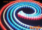Decoration Dual Color Outdoor LED Tape Lights 2835 240D With Two Color Shift