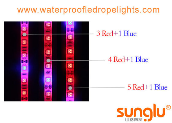 FPC 4 Red 1 Blue LED Strip Plant Lighting / 300D LED Grow Strip Lights